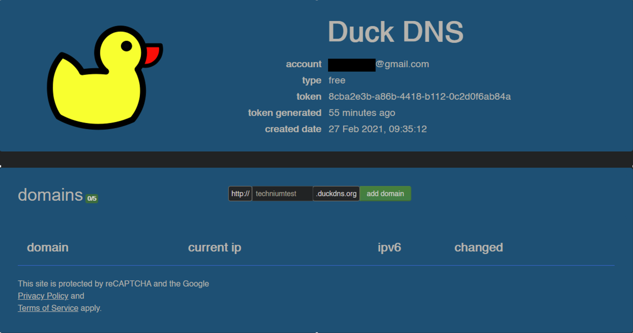Unraid - Mit Duck DNS kostenlos Subdomains erstellen - Technium
